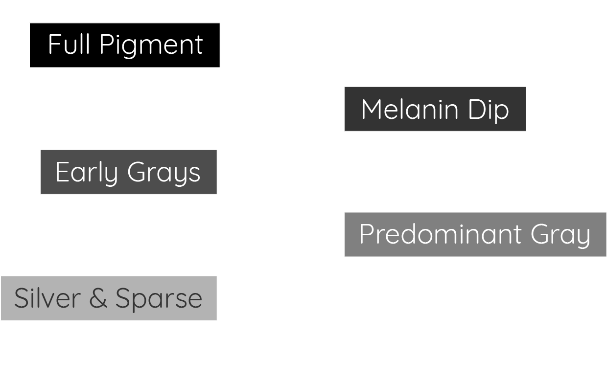 antigrey™ | Stop Greying Before It Starts - once daily™